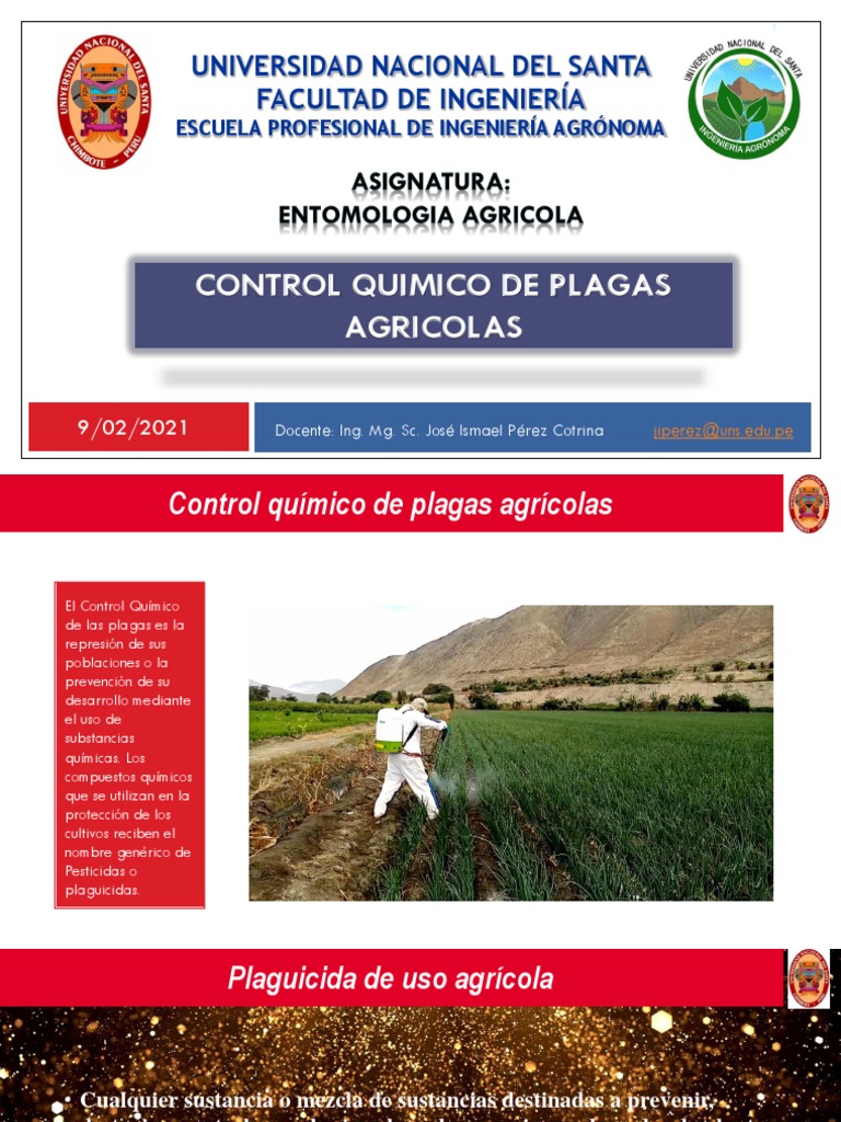 13 Sem 13 Control Quimico | PDF | Pesticida | Plaga (organismo)