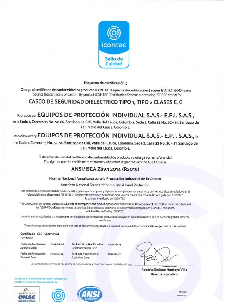 Certificado Ansi Z89.1-2014 | PDF