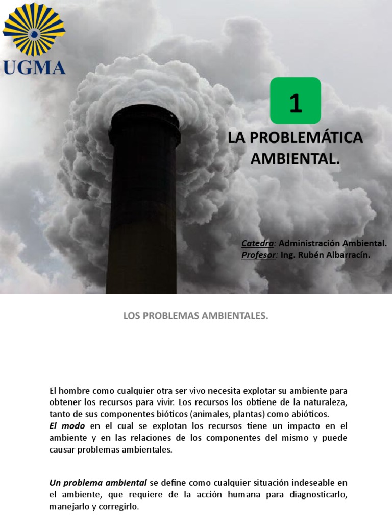001 La Problematica Ambiental | PDF | Contaminación | Los bosques