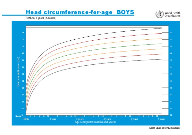 0 - 5 Tahun - PDF Lingkar Kepala Menurut Usia | PDF