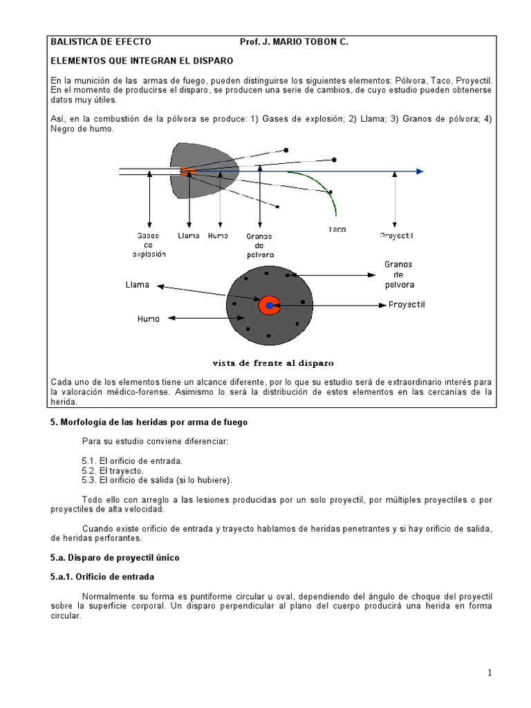 Balistica de Efectoprof | PDF | Proyectiles | Herida