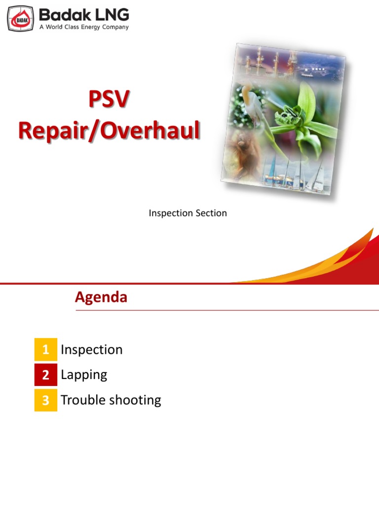 PSV Repair - Overhaul | PDF | Valve | Pressure