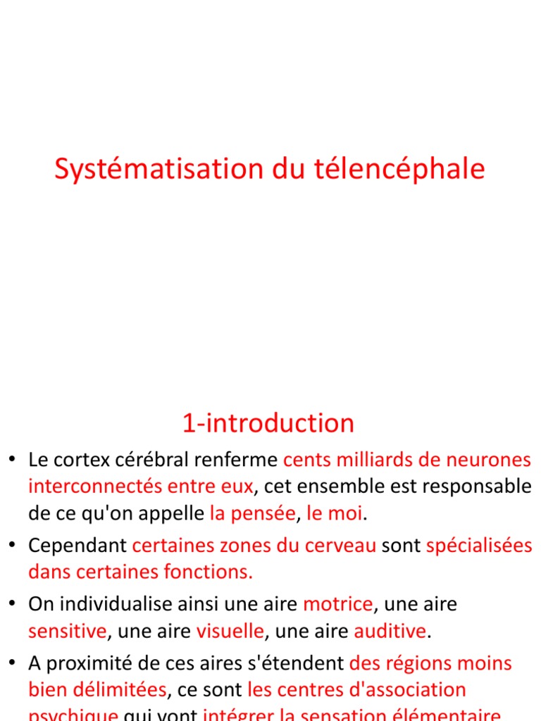 Comprendre le Télencéphale et ses Fonctions | PDF | Cortex cérébral ...