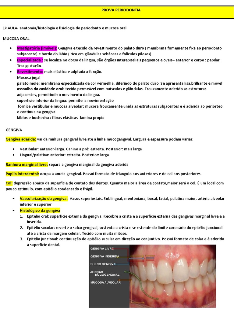 Prova Perio | PDF | Boca | Língua