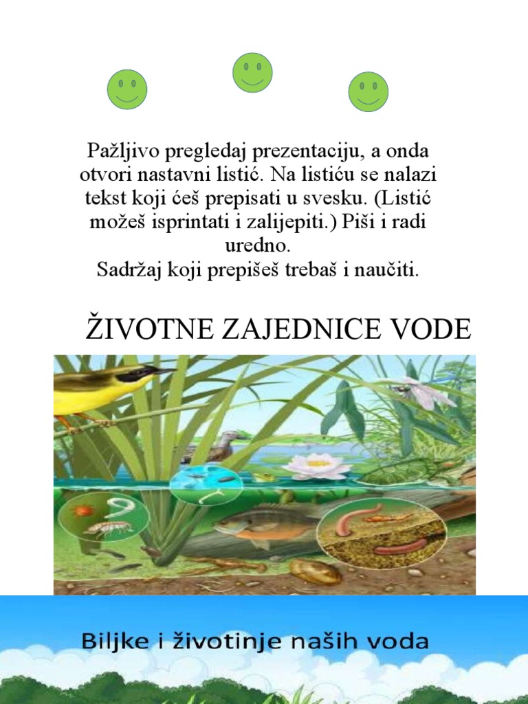 Moja Okolina, Prezentacija - 16.3.2021. | PDF
