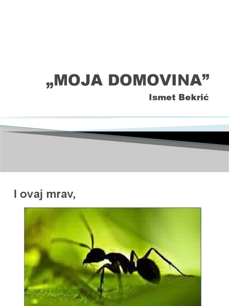 Moja Okolina - 22.10.2020. | PDF
