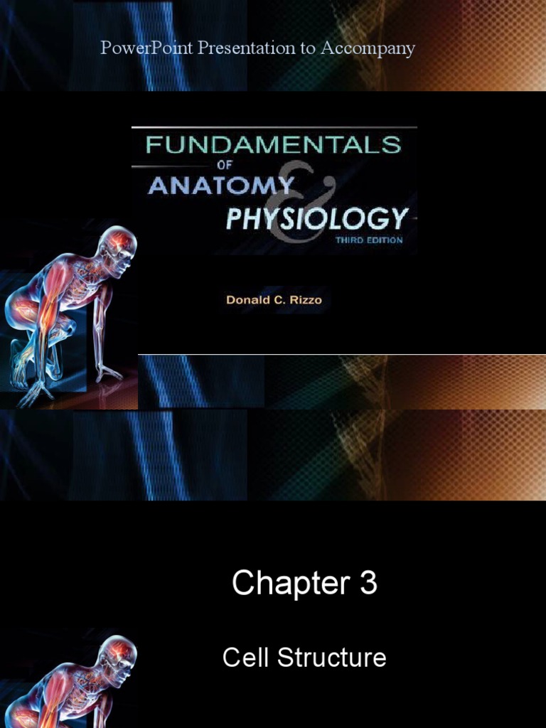 Powerpoint Presentation To Accompany: © 2010 Delmar, Cengage Learning | PDF | Endoplasmic ...