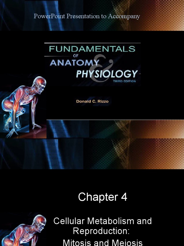 Powerpoint Presentation To Accompany: © 2010 Delmar, Cengage Learning | PDF | Meiosis | Cellular ...