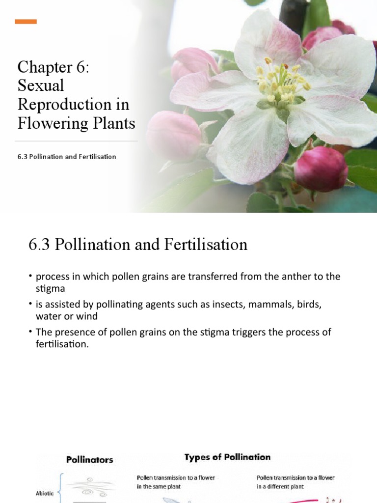 6.3 Pollination and Fertilisation, 6.4 Development of Seeds and Fruits ...