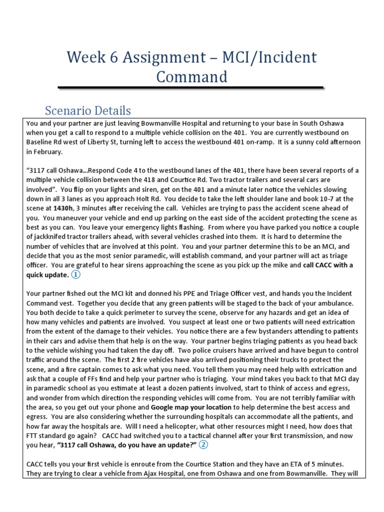 Week 6 Mci Scenario Assignment-3 | PDF | Thorax | Ambulance