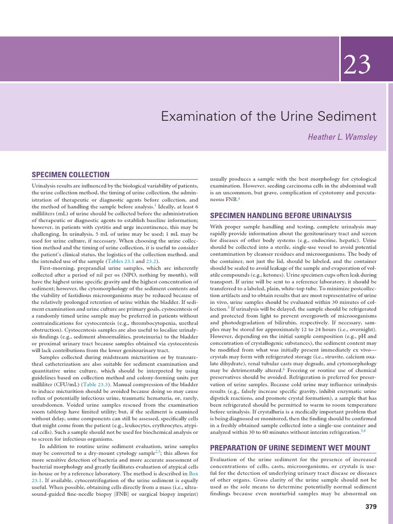 Examination of The Urine Sediment: Specimen Collection | PDF | Urine ...