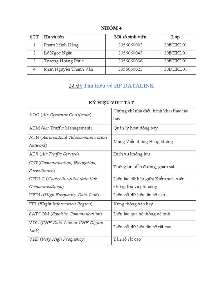 HF Datalink I Nhóm 4 I Word | PDF