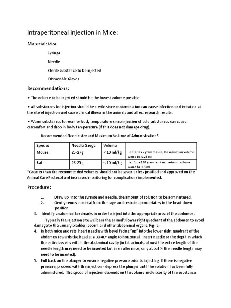 IP Injection Protocol in Mice | PDF | Injection (Medicine) | Abdomen