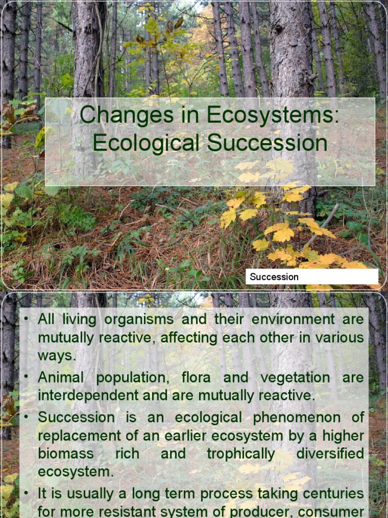 Ecological Succession | PDF | Ecosystem | Pond
