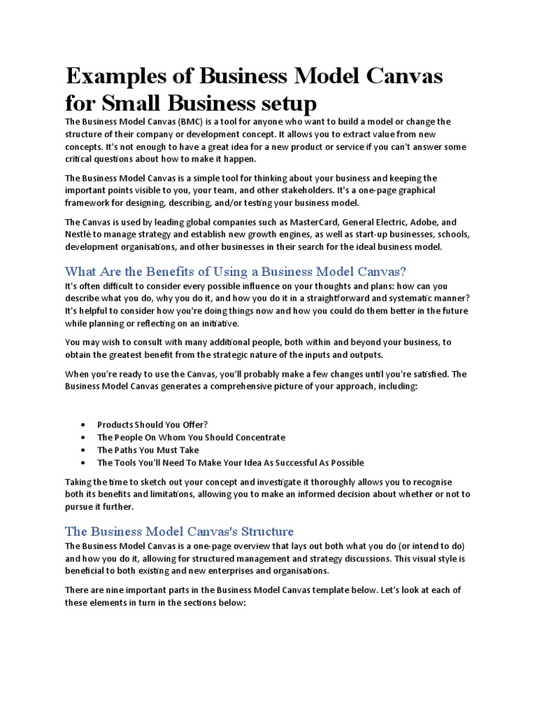 Examples of Business Model Canvas For Small Business Setup | PDF ...