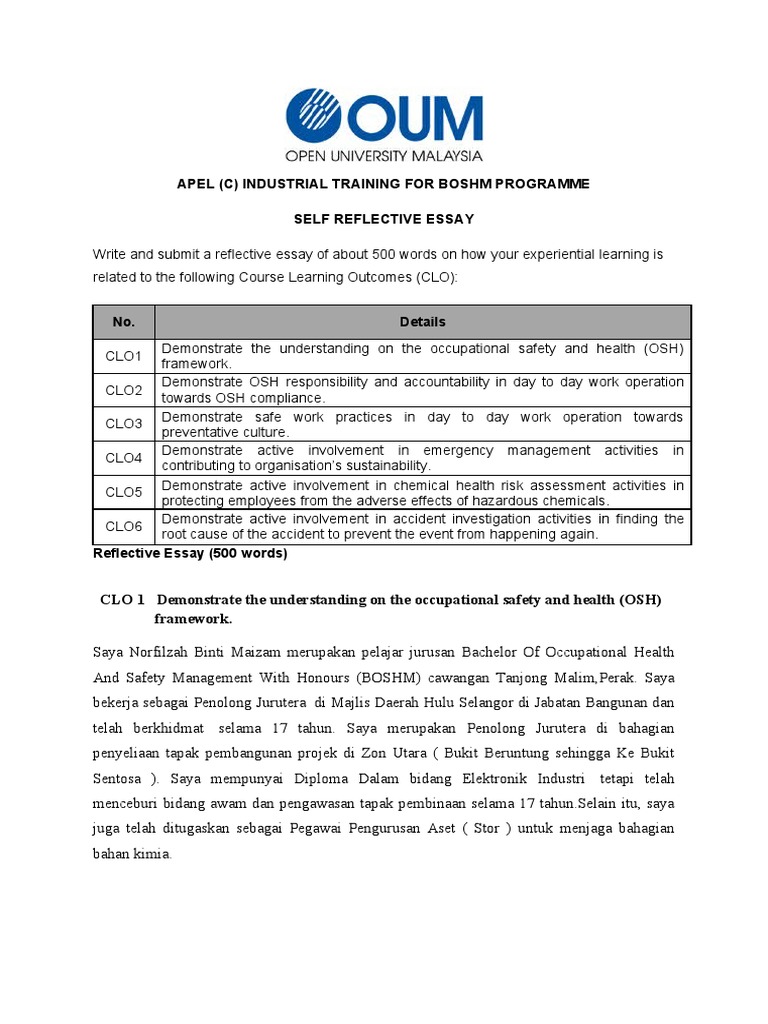 Apel C - Self Reflective Essay Template | PDF