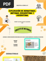 Motoneuronas Alfa y Gamma | PDF | Neurona motora | Músculo