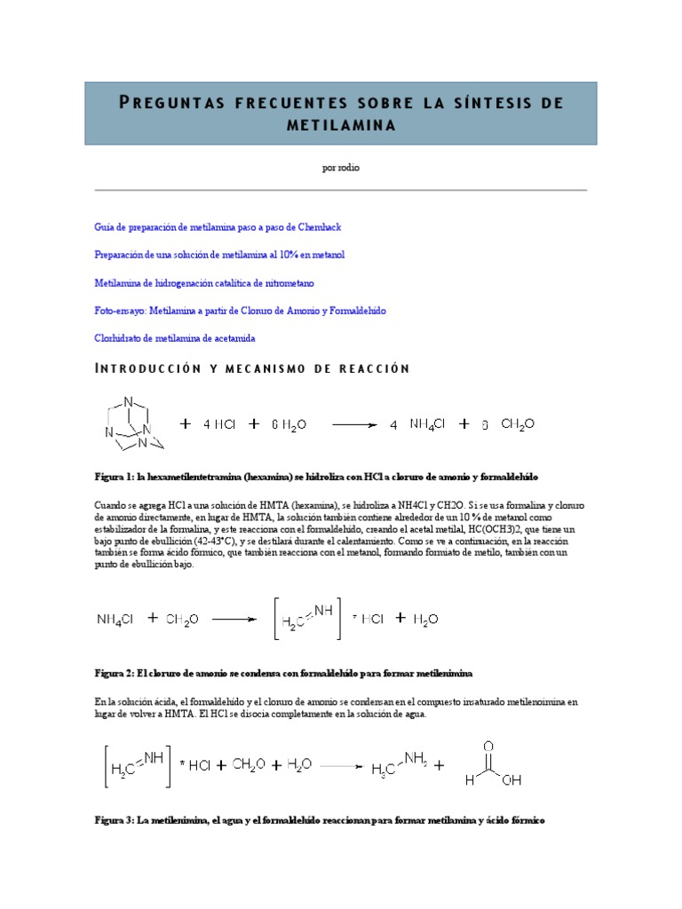 Preguntas Frecuentes Sobre La Síntesis de Metilamina | PDF