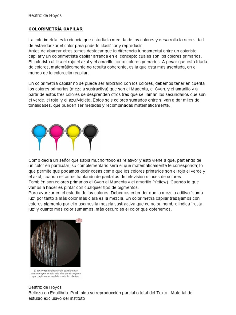 Historia Del Color | PDF