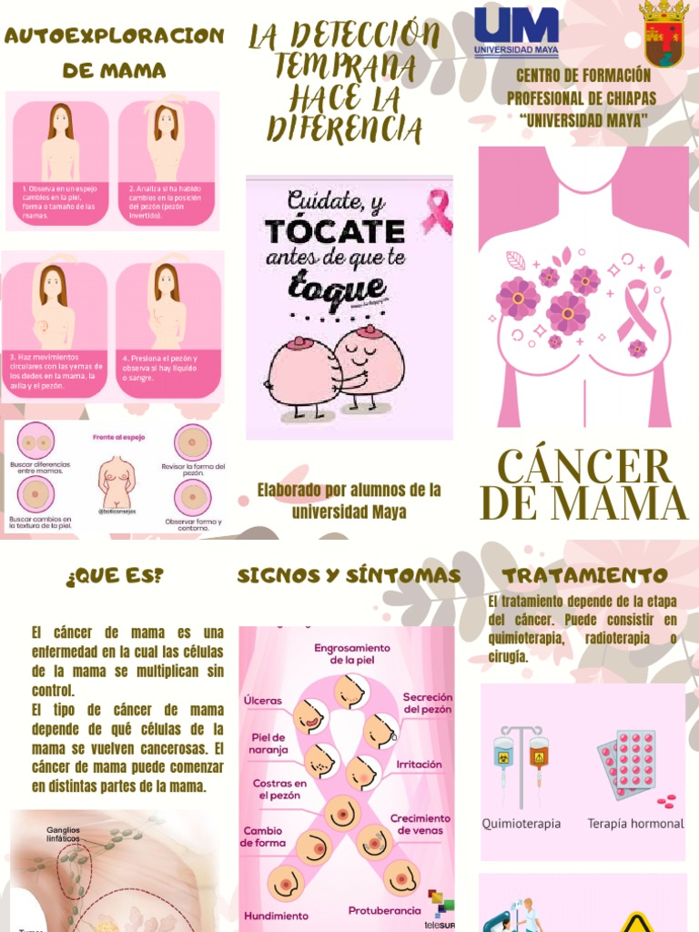 Cáncer de Mama | PDF