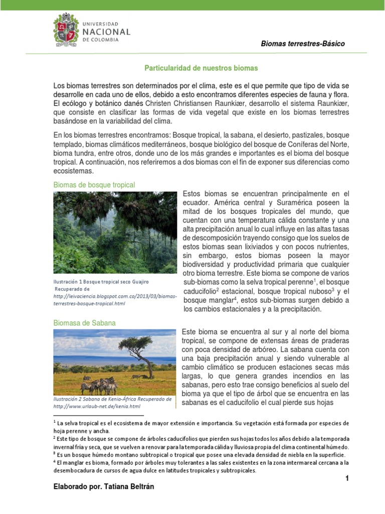 Biomas Terrestres | PDF | Selva | Zona tropical