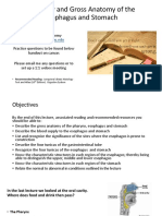 Unifen 200 & 400: Uses and Dosage Guide | PDF | Nonsteroidal Anti ...