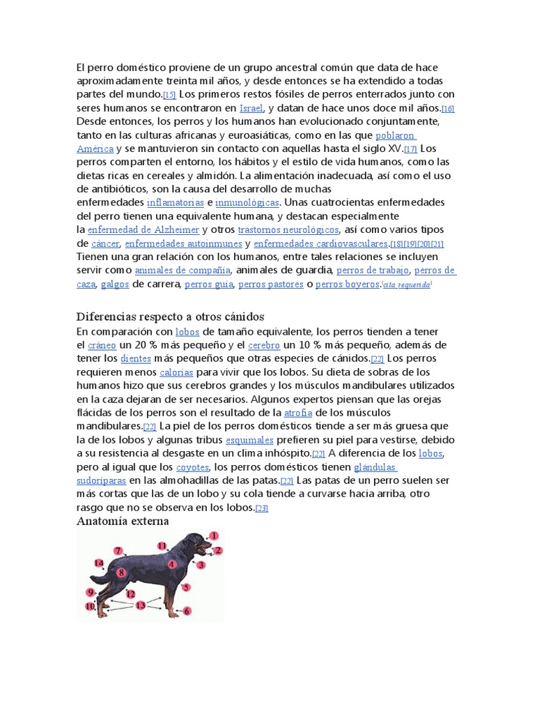 Los Perros Evolución | PDF | Percepción visual | Piel