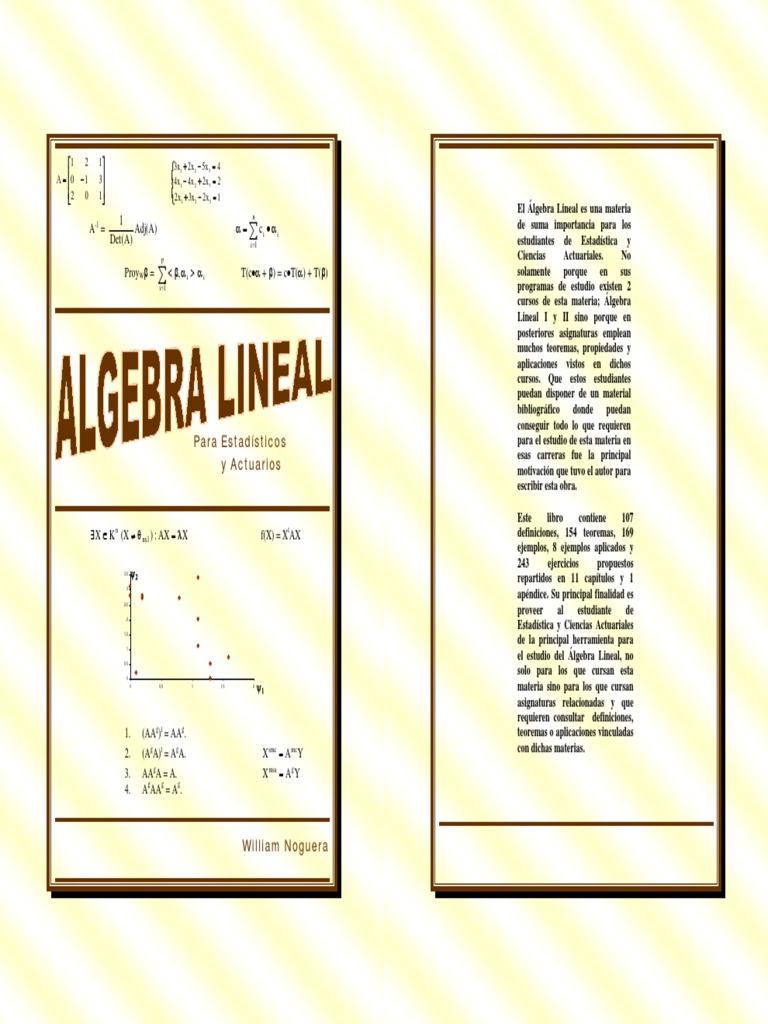 Algebra Lineal | PDF | Matriz (Matemáticas) | Álgebra lineal