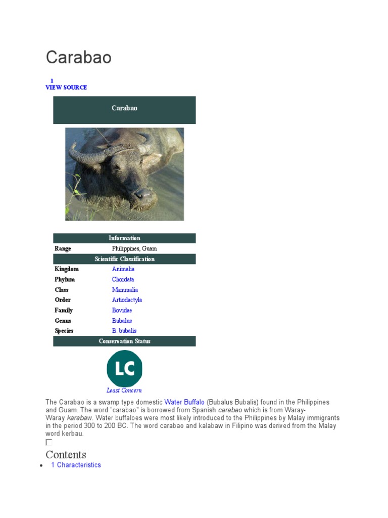 Carabao and Its Characteristic | PDF | Organisms