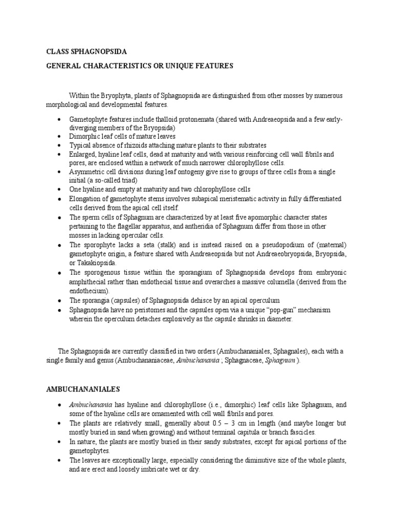 General Characteristics - Sphagnopsida Summary | PDF | Moss | Leaf