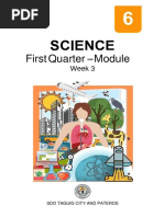 Science 6 Quarter 1 Summative Test 1 | PDF | Mixture | Solubility