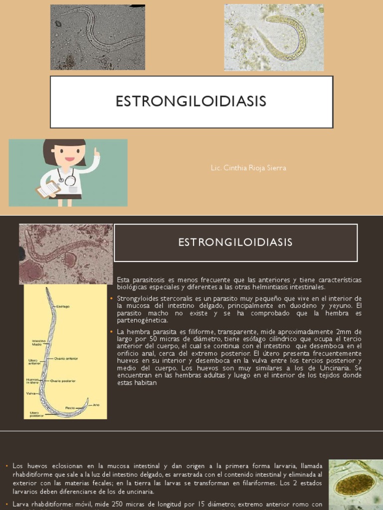 Estrongiloidiasis: Ciclo y Patología | PDF | Sistema inmune | Inflamación