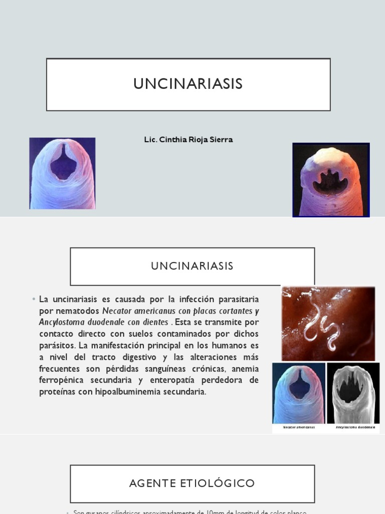 UNCINARIASIS | PDF | Especialidades Medicas | Medicina CLINICA