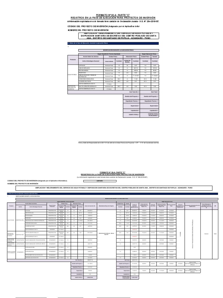 Formato #08-A Parte C Registro en La Fase de Ejecucion para Proyectos ...