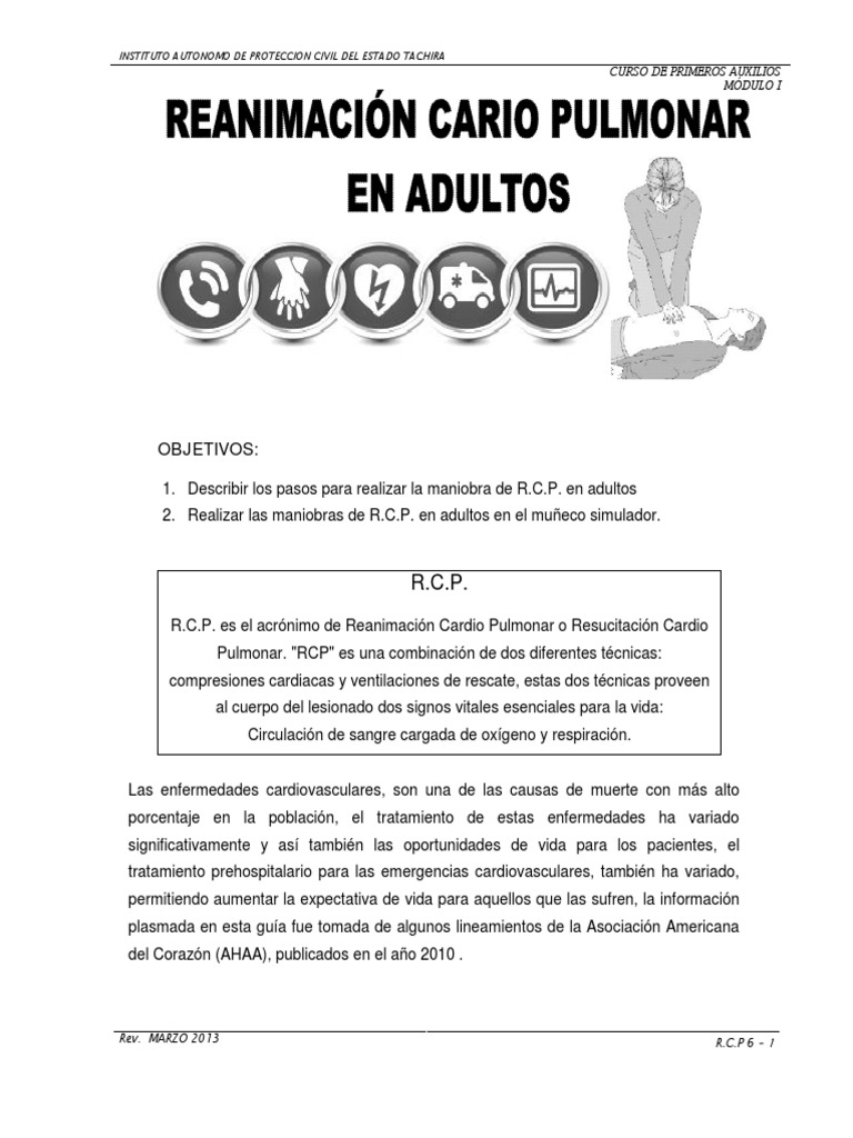 Lección 6 RCP | PDF | Reanimación cardiopulmonar | Paro cardíaco