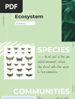Guide to Whatman qualitative filter paper grades | PDF | Filtration | Paper
