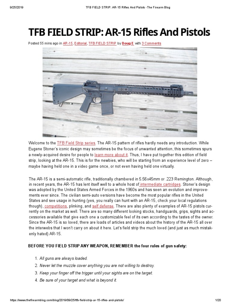 TFB Field Strip Ar 15 Rifles and Pistols The Firearm Blog | PDF