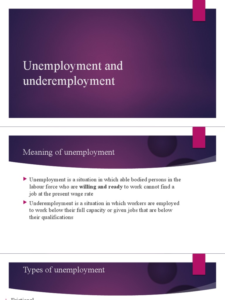Unemployment and Underemployment | PDF