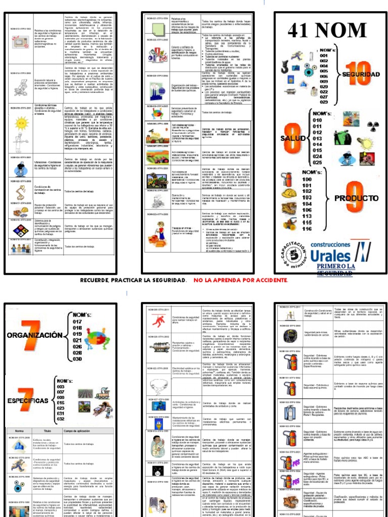 3 Triptico Normas STPS | PDF