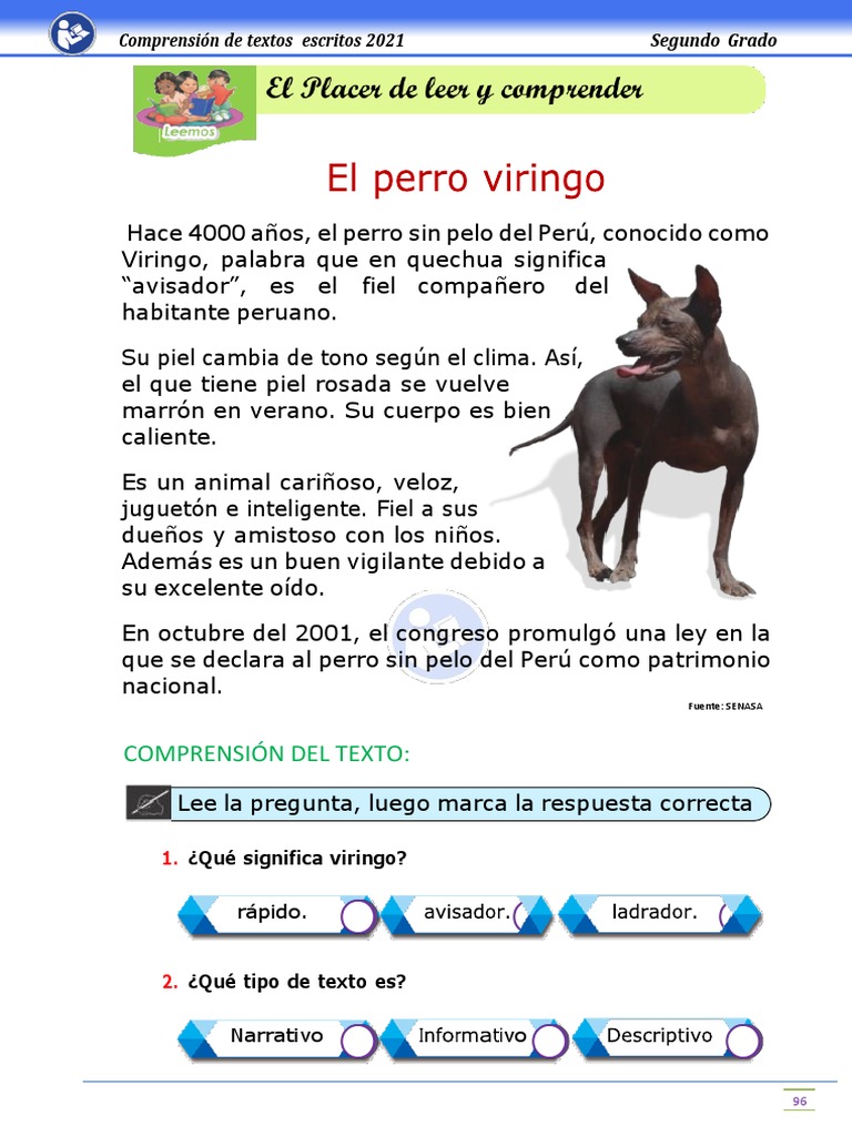 23 - Lectura - El Perro Viringo | PDF