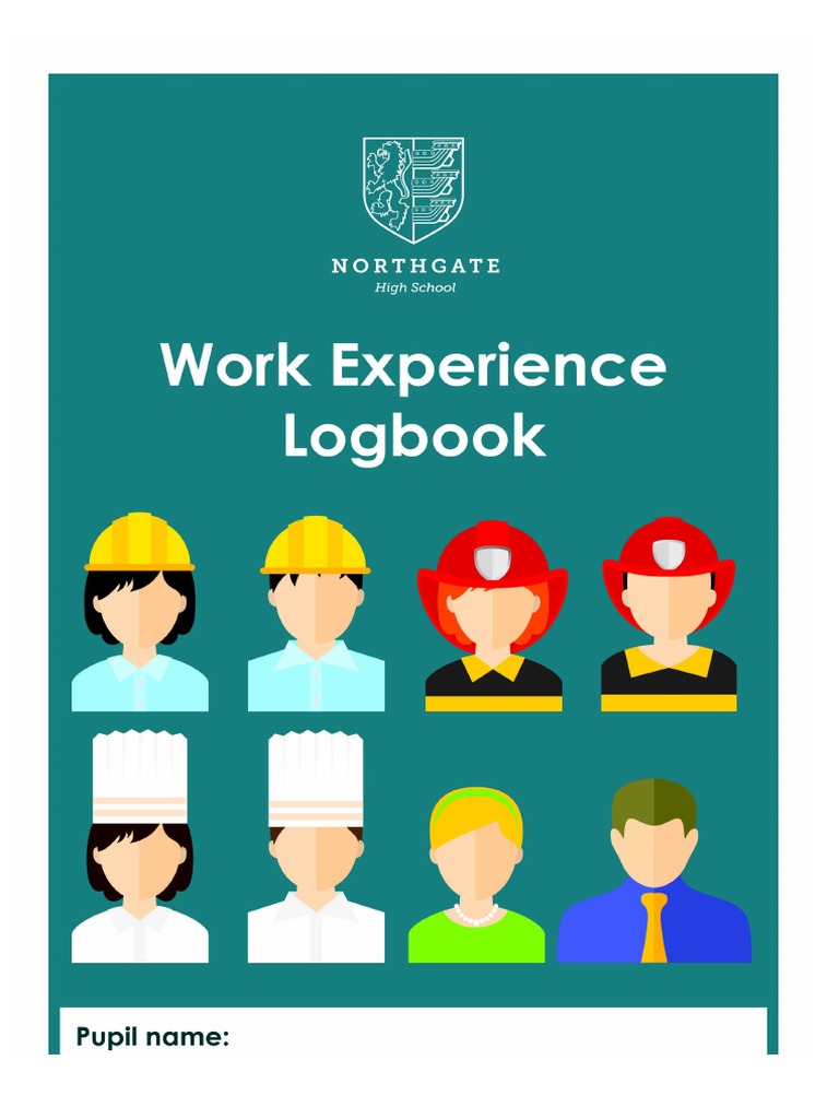Work Experience Logbook Guide | PDF | Risk | Hazards