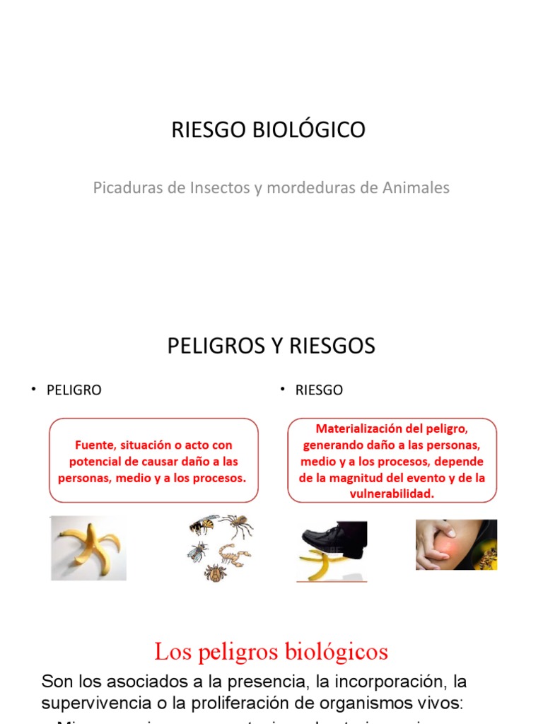 Riesgo Biológico | PDF | Microorganismo | Avispa