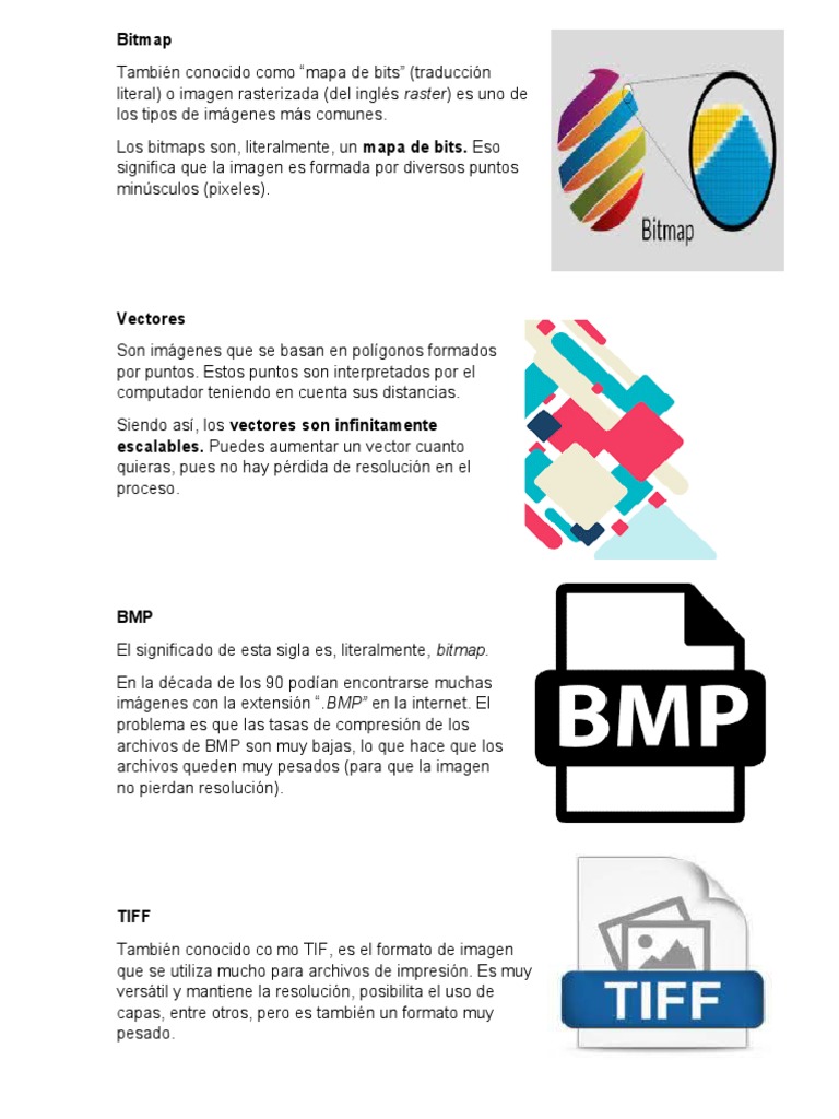 Bitmap | PDF
