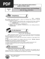 Tle 6 q1 Week 2 Day 1 | PDF | Seed | Seedling
