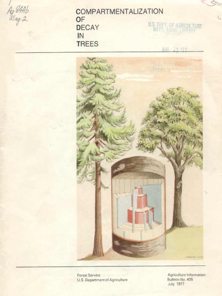 Codit-Compartmentalization of Decay in Trees | PDF | Wood | Trees