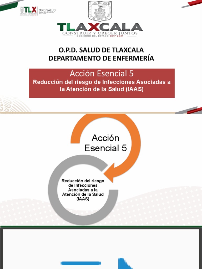 Acción Esencial 5 | PDF