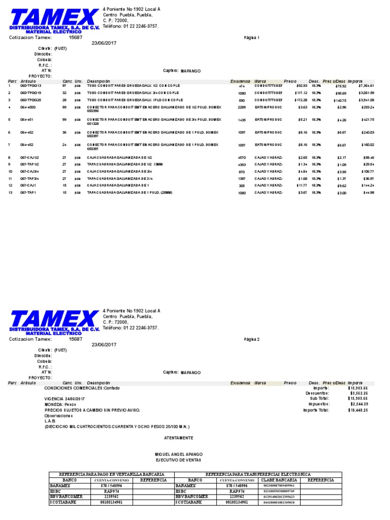 Cotizacion Tamex: 15687 23/06/2017: Página 1 | PDF | Bancario | Servicios financieros