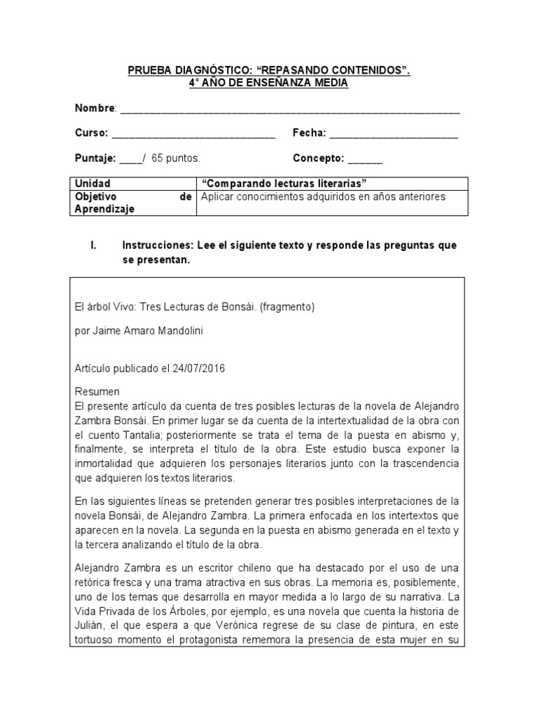 Prueba de Diagnostico Repasando Contenidos | PDF | Novelas