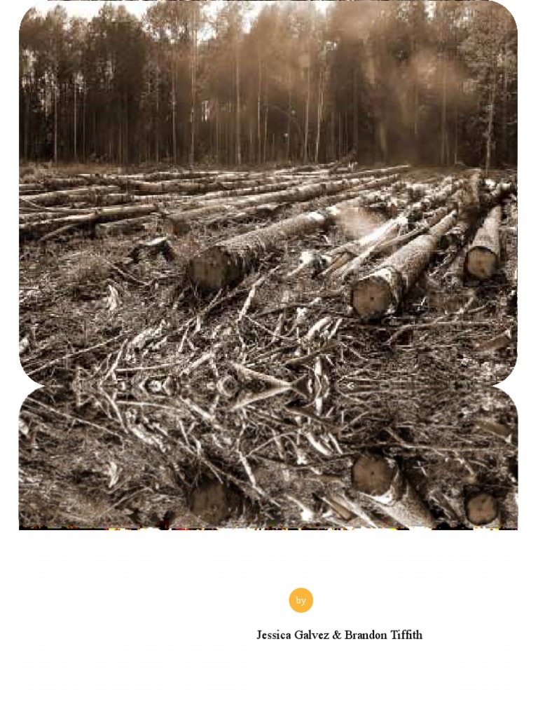 Illegal Logging Case Study | Download Free PDF | Logging | Deforestation