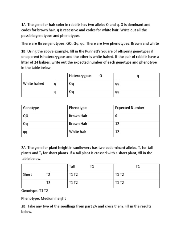 Heredity Practice Problems 1-3 | PDF | Dominance (Genetics) | Zygosity